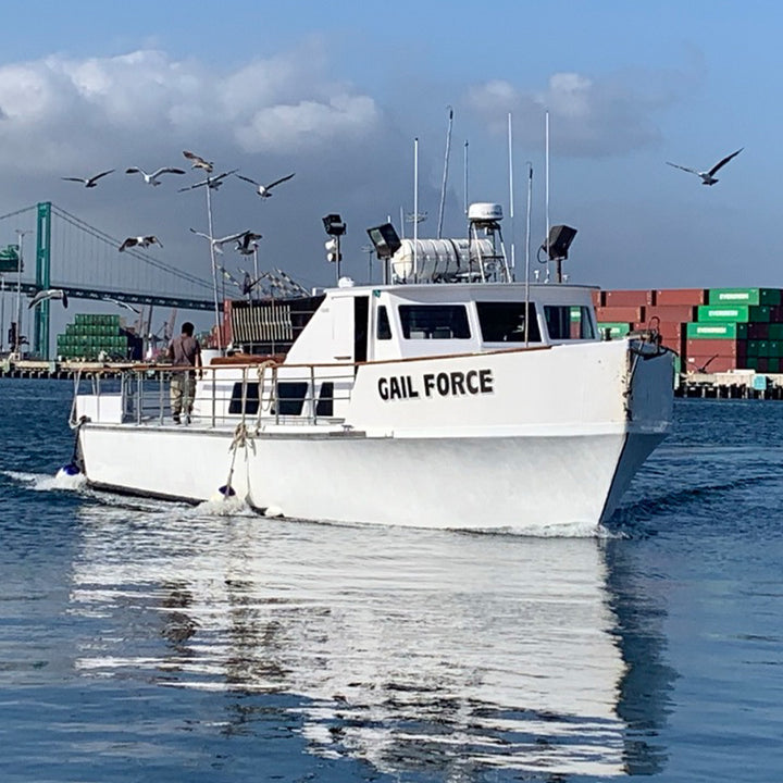 Sport Fishing with Dan Hernandez